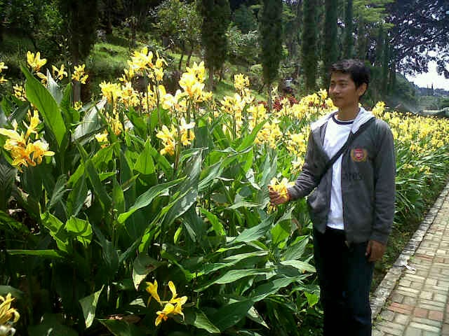 Taman Bunga Selecta ~ UTAMA