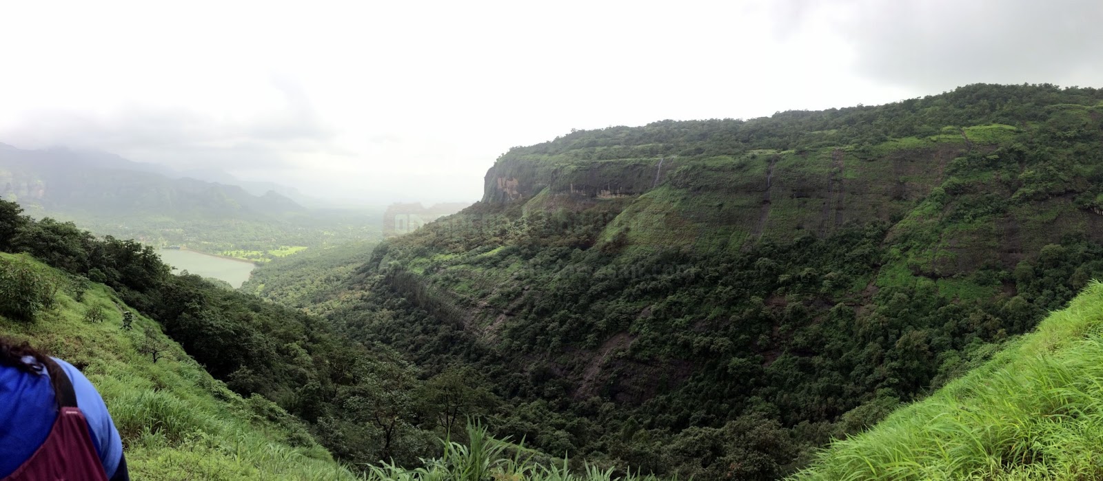 The Enchanting Trek Through Andharban - The Dark Forest