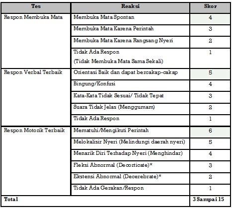 Kesehatan & Keperawatan : PEMERIKSAAN KESADARAN / MENGUKUR GCS
