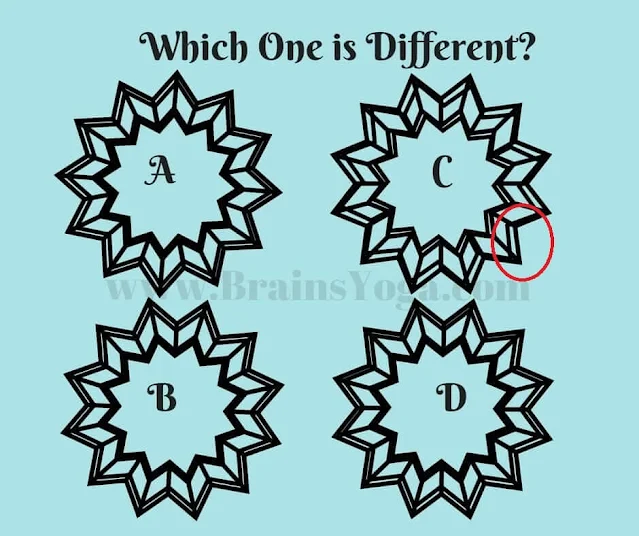 Odd One Out Picture Puzzle: Spot the Difference!
