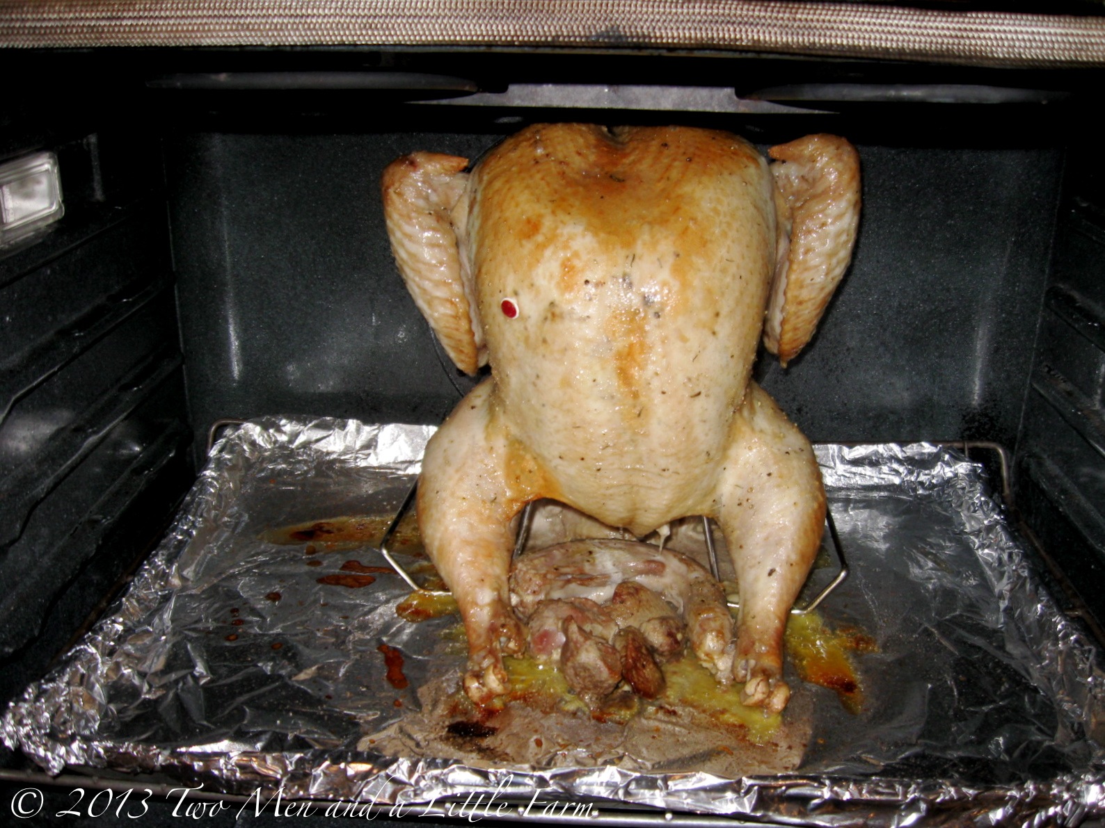 Two Men and a Little Farm: BEER CAN TURKEY VERTICAL ROASTED