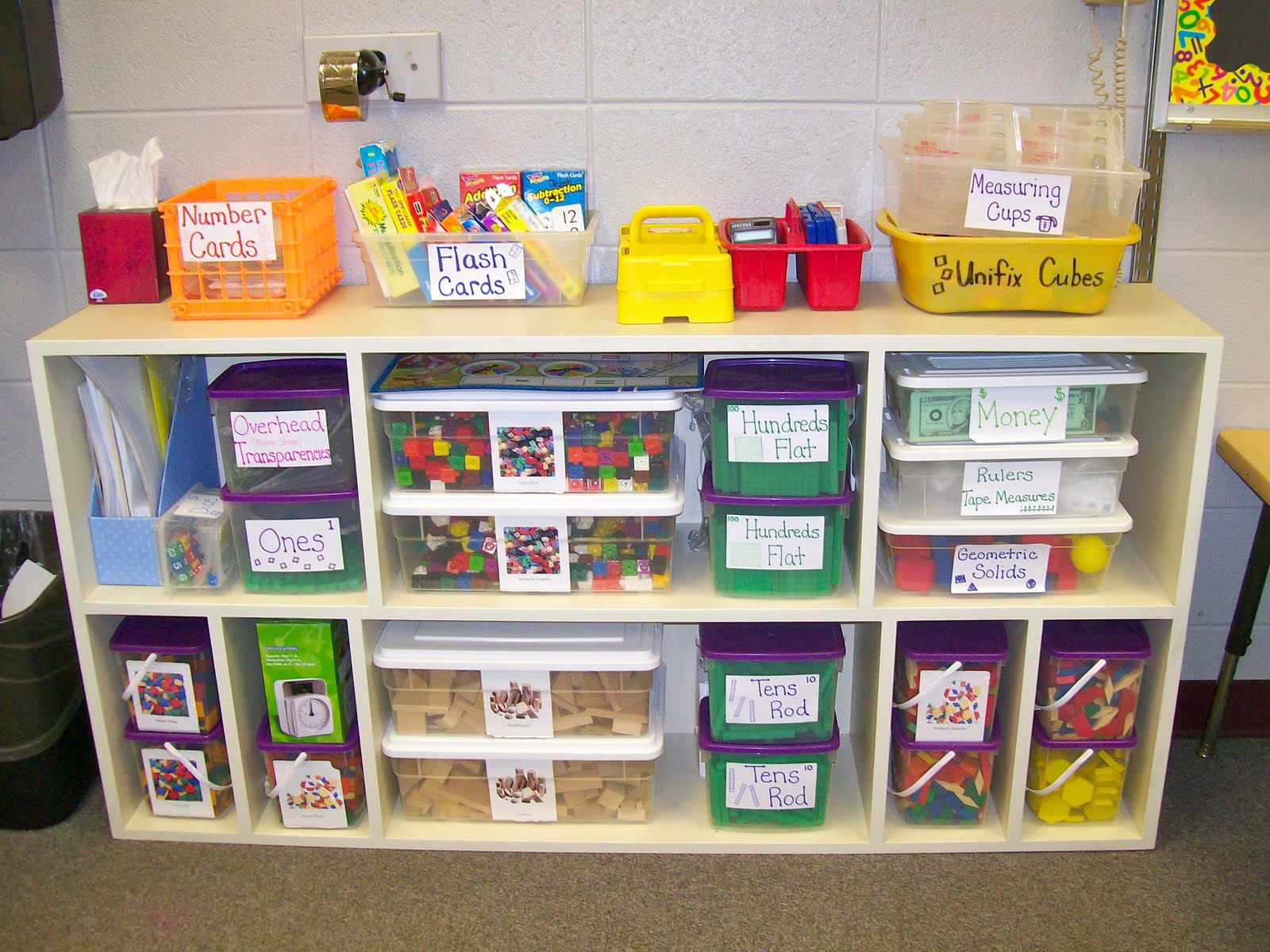 Tadpole Talk: Classroom Pictures