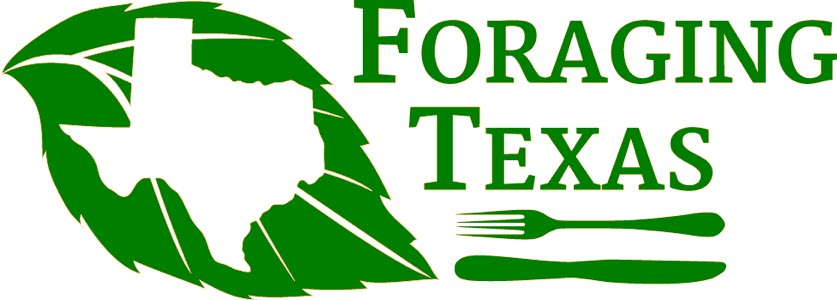 Prepper Handbook Blog: Power Outage Heater