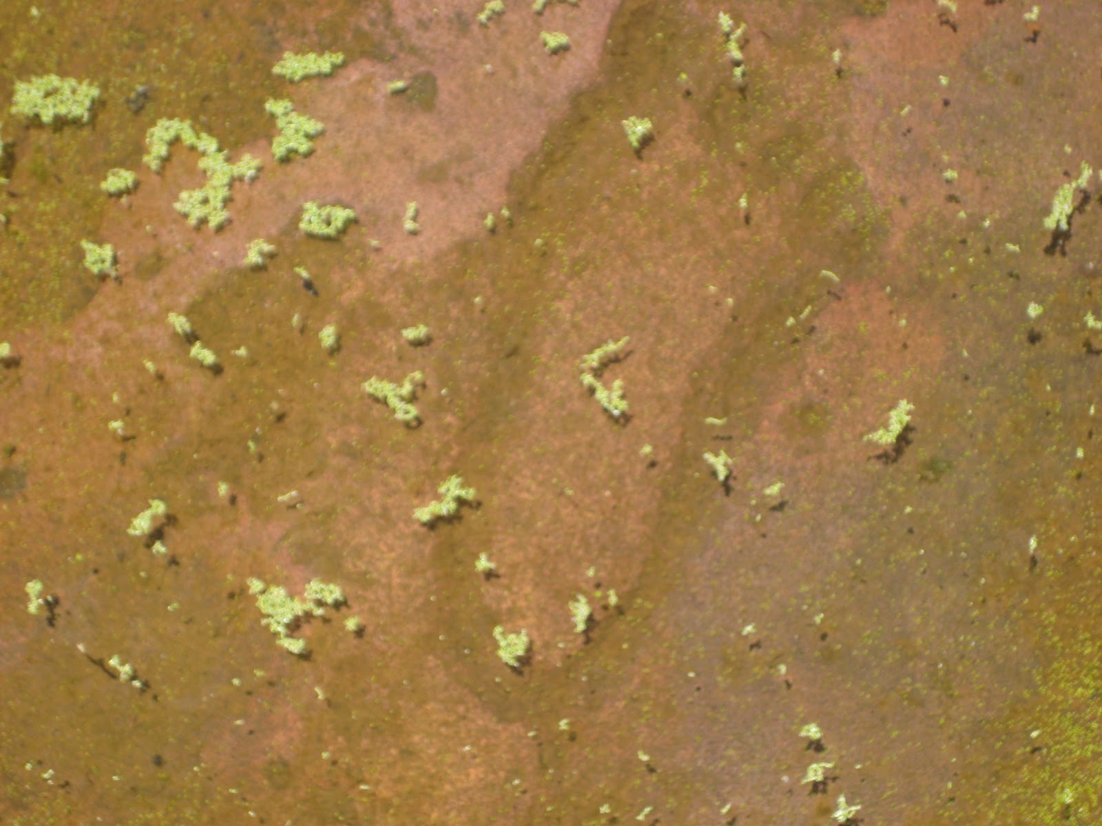 Rands Mission: Matsieng National Monument