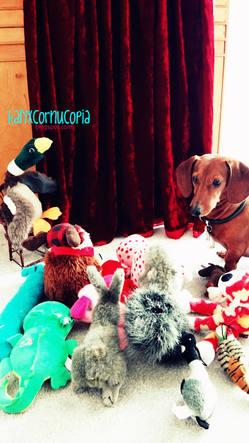 Kalyxcornucopia: me likey dat