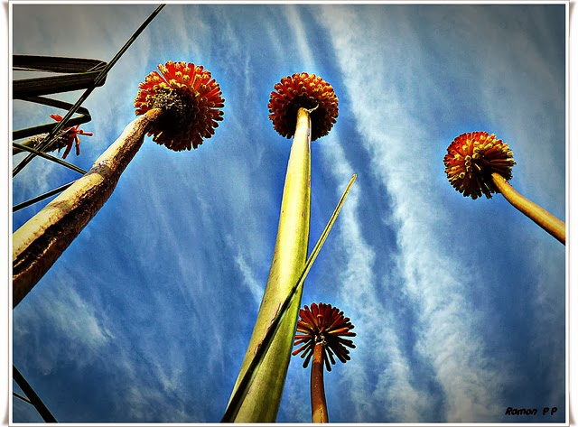 Artistic madness. : CÓDIGO ESPACIAL.