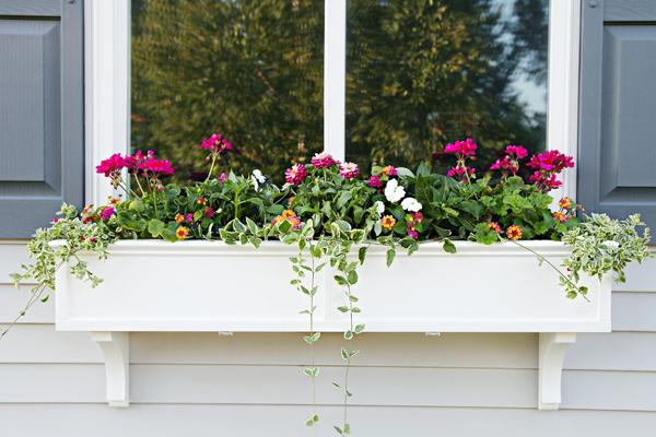 IHeart Organizing: Do It Yourself: Window Planter Box