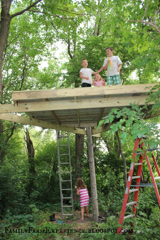 Family Farm Experience: DIY How to Build your own Treehouse