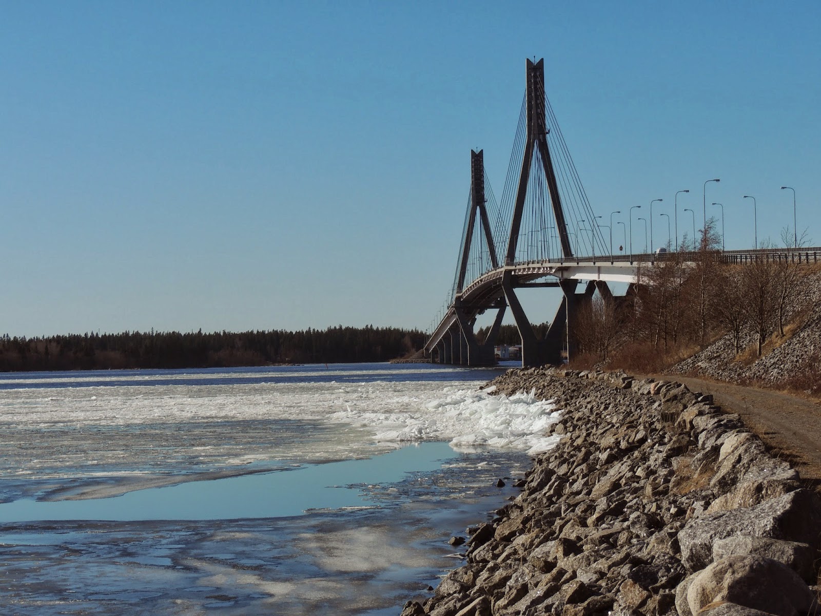 Gröna anemone: Stenar och is vid Replot-bron