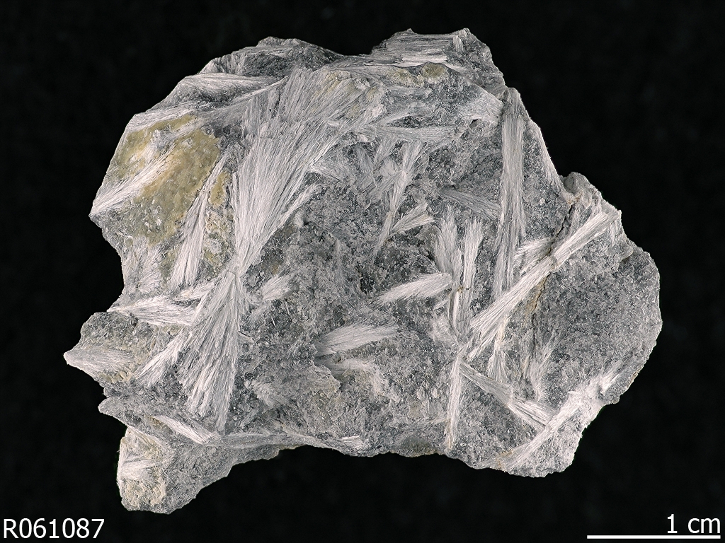 Diário de um ProtoGeólogo : Tremolite!