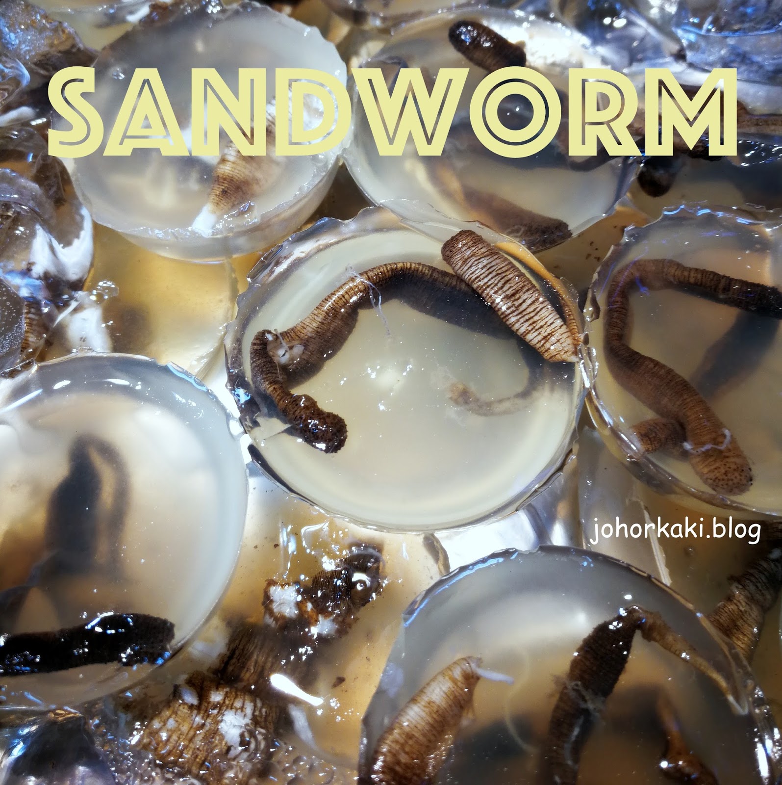 Must Try Food in Xiamen. Sand Worm or Tusun Jelly 土笋冻 |Tony Johor Kaki ...