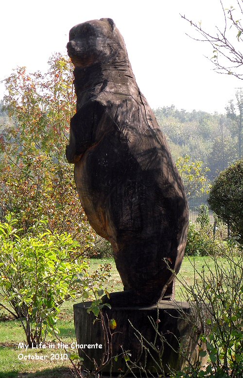 My Life in the Charente: This and That