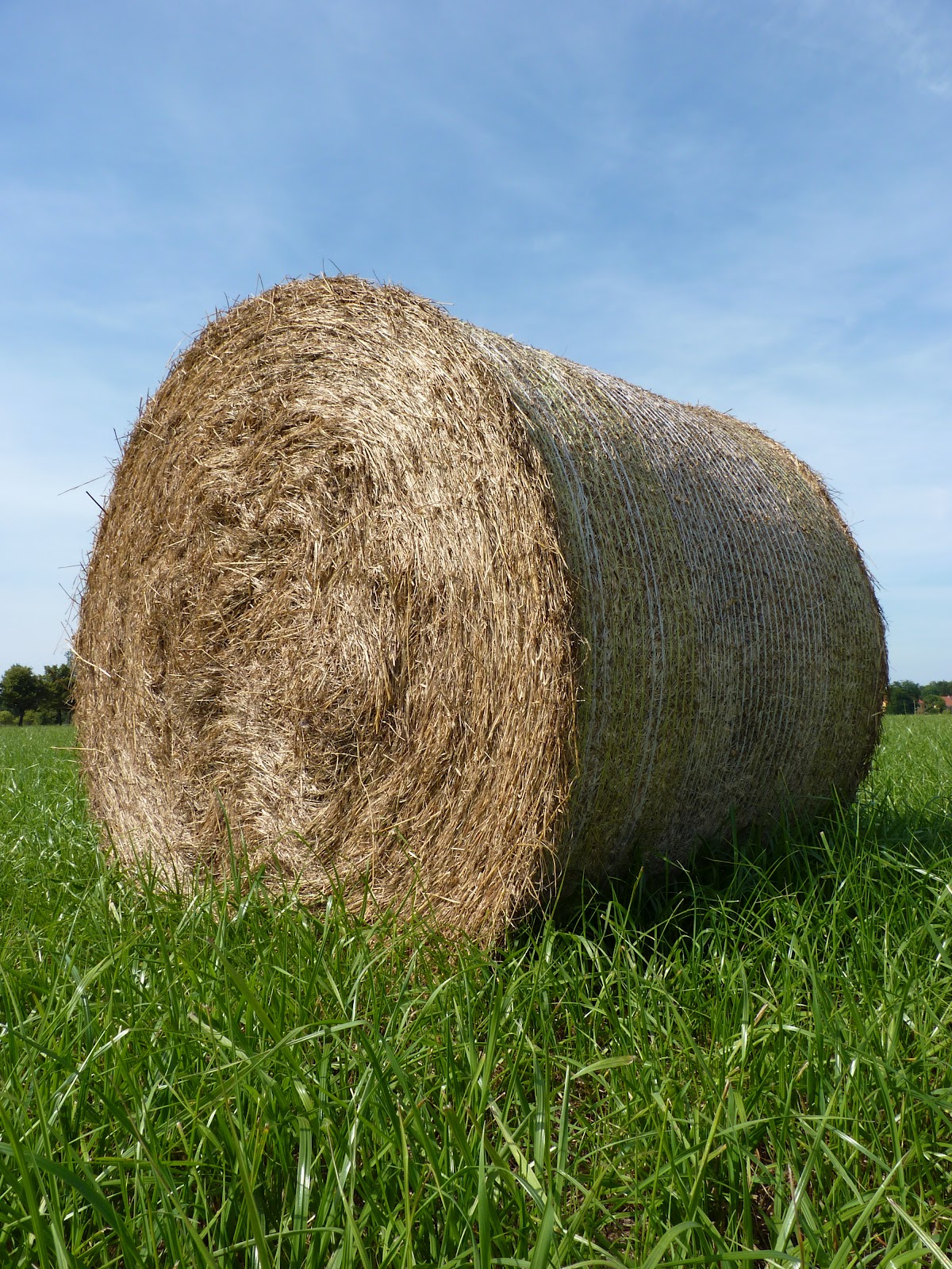 agra cultura: Heuballen - auf und über - gras und heu