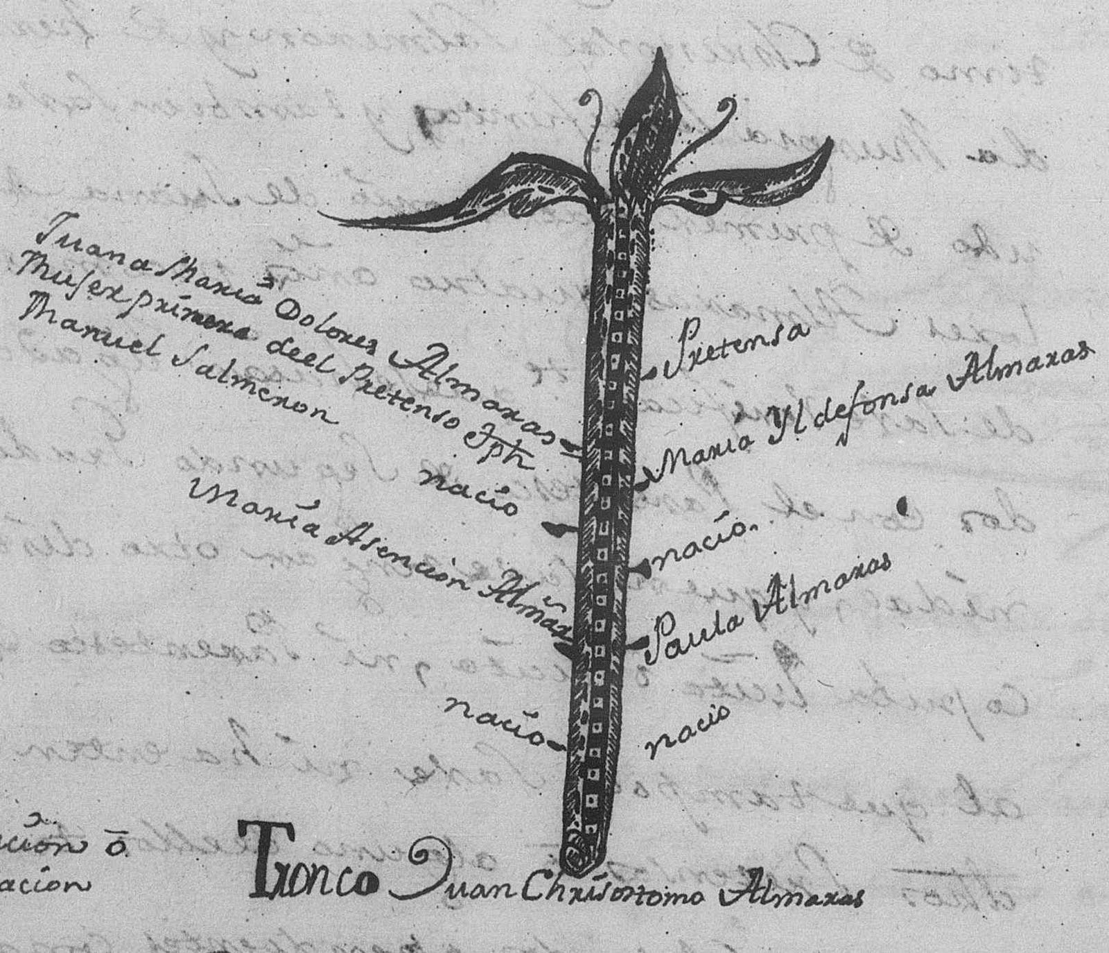 Guadalajara Marriage Dispensations - Mexico Genealogy: Family Tree Art