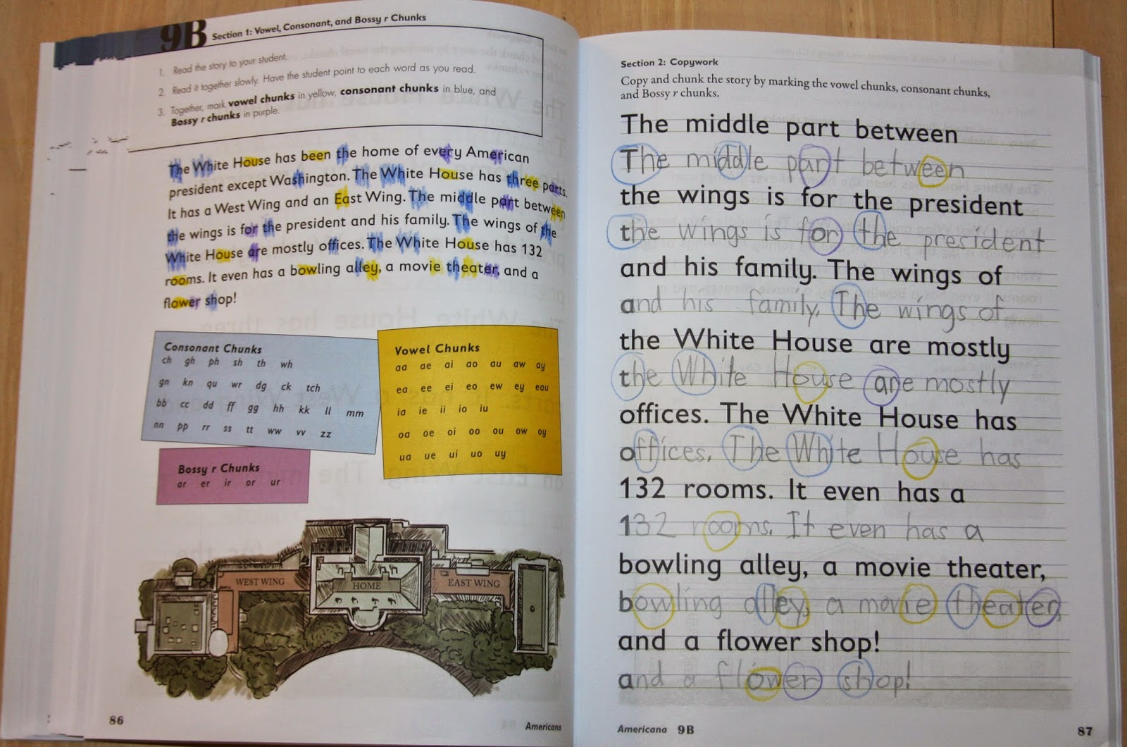 A Learning Journey: Spelling You See Americana (Level D) Review PLUS an ...