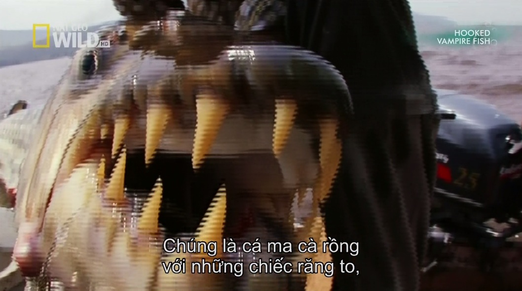 HOOKED - VAMPIRE FISH ~ Store Free Download Movies