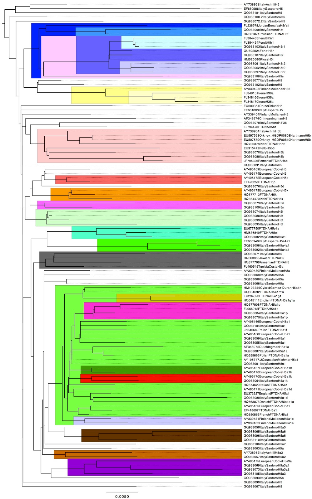 KurdishDNA: mtDNA Haplogroup H5