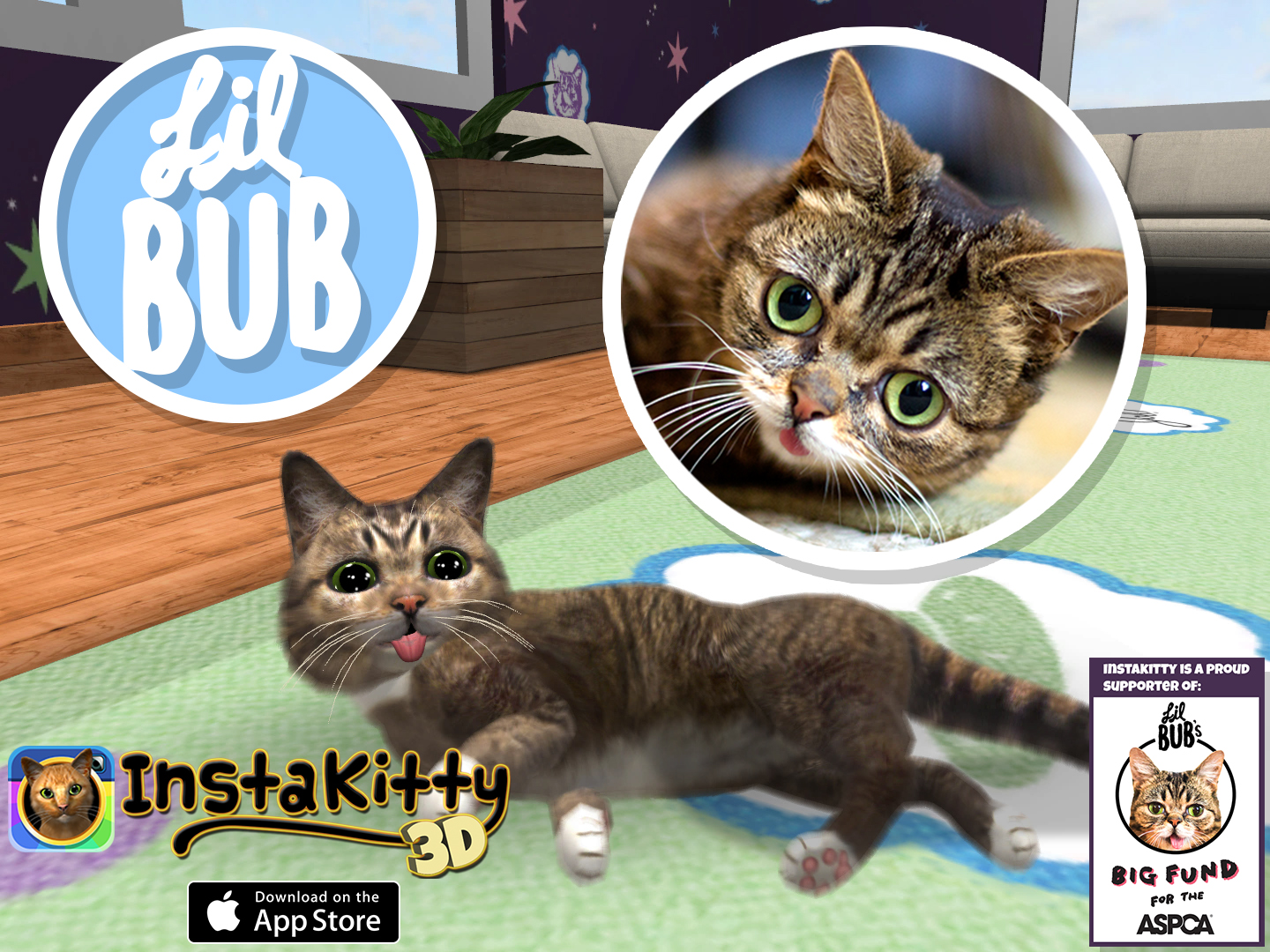 PerPETually Speaking: Lil BUB Stars in InstaKitty 3D
