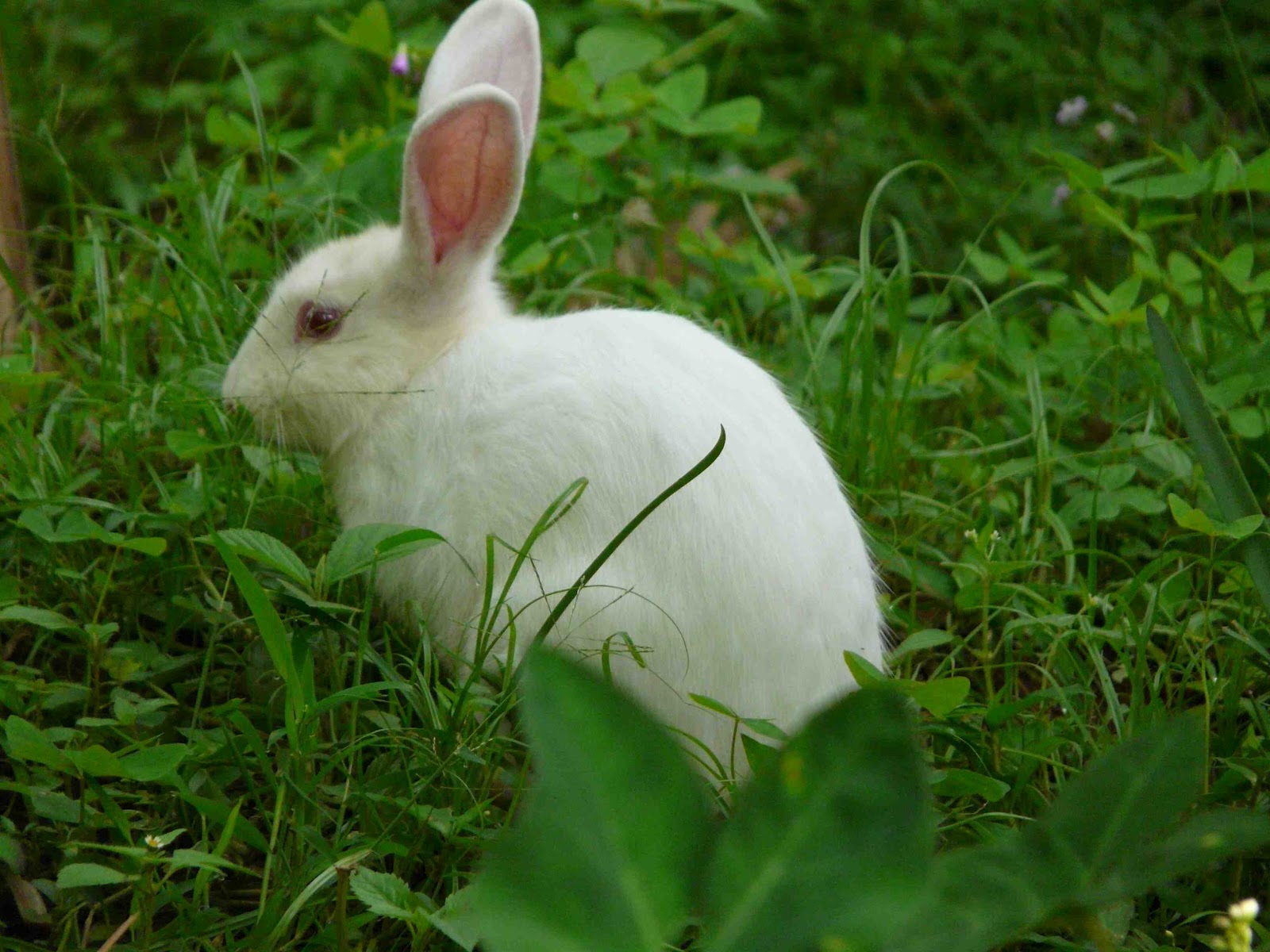 Another Year in Africa: April 2012