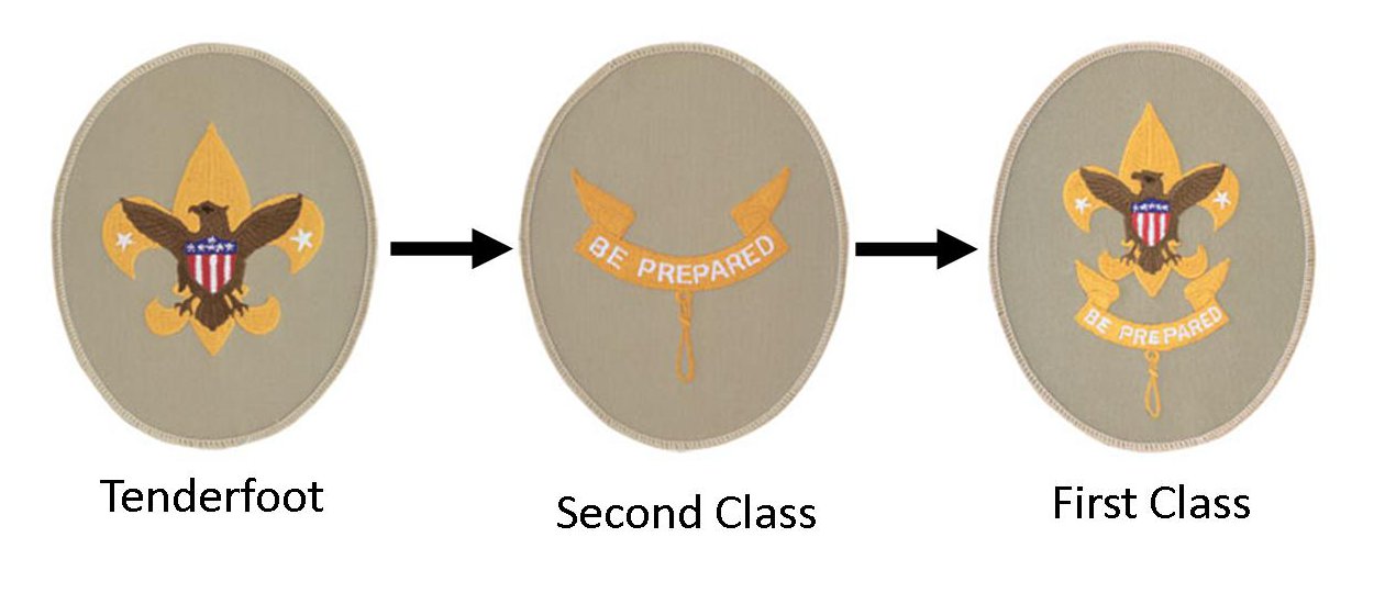 Adventures and Accidents: How's this for a wild idea?