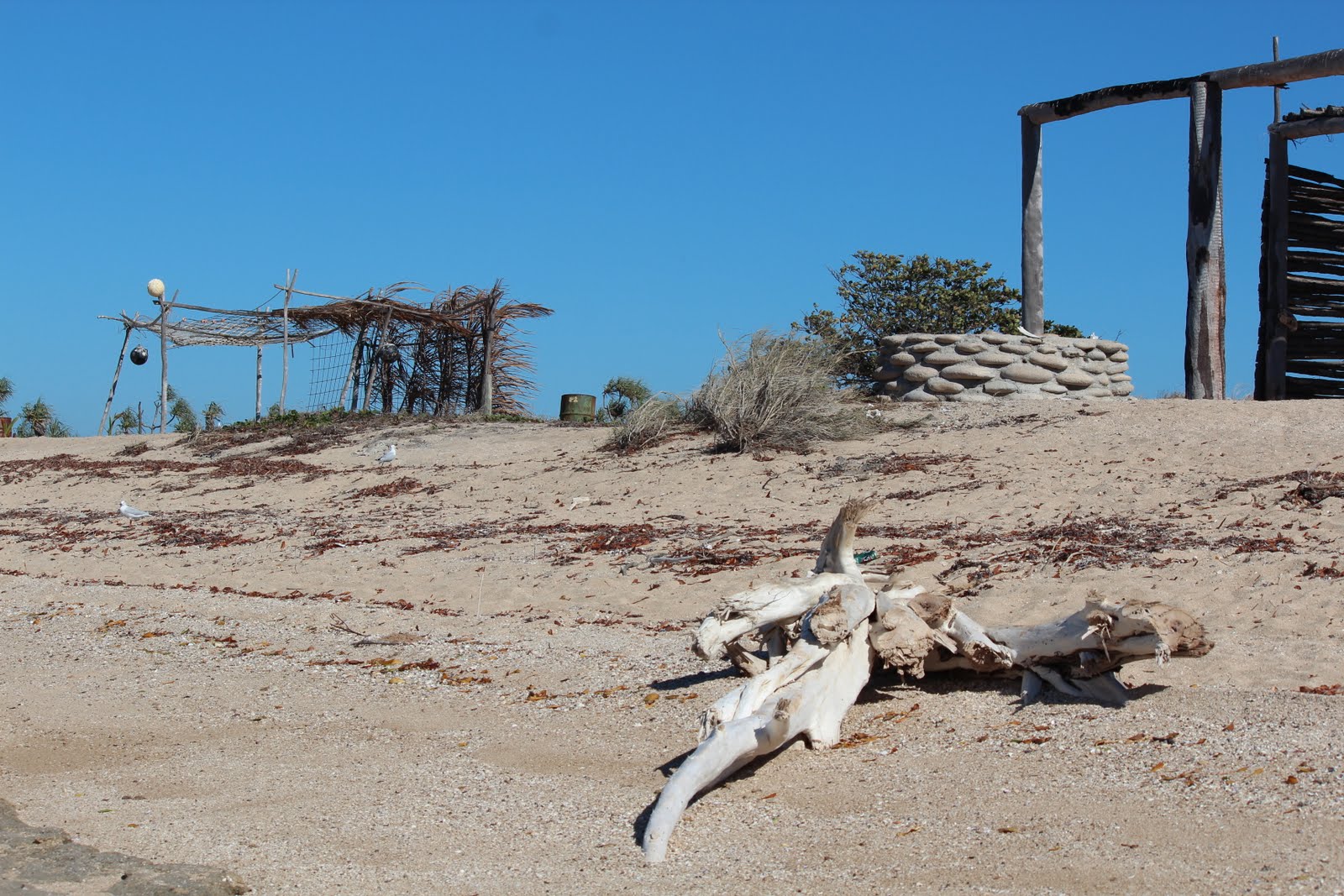 Al & Chris Stevenson: Gambanan ( One Arm Point ) to Quondong Pt ...