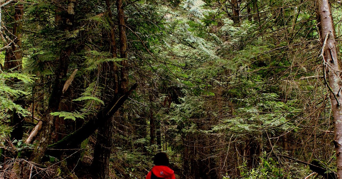 The Murray Chronicles : Hiking through Mt Taum Ecological Reserve