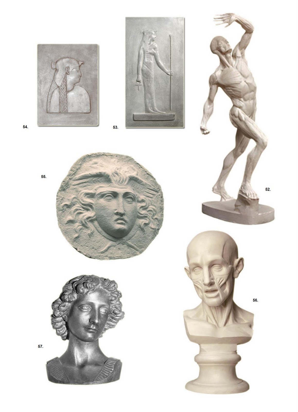 Art studio Genesis : Casting replicas - Art Supplies