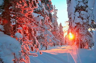 GADALAIKI LATVIJĀ: ZIEMA