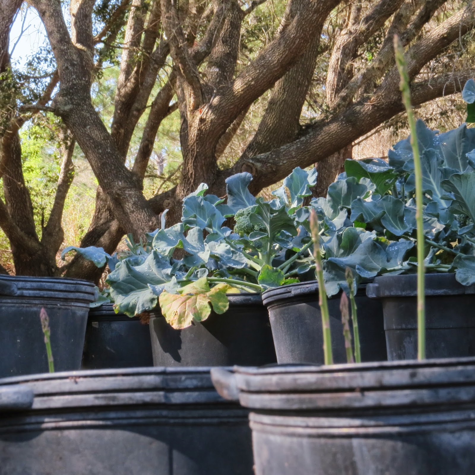 Simply Living: 3/1/14 - 4/1/14