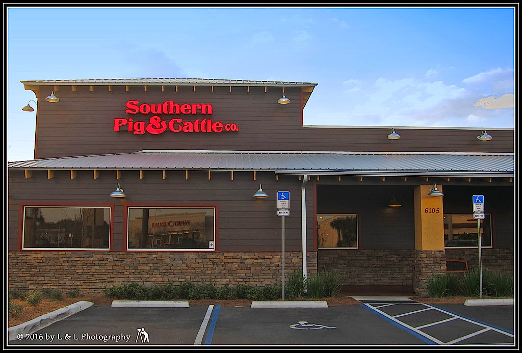 Ocala, Central Florida & Beyond: Southern Pig & Cattle Co.