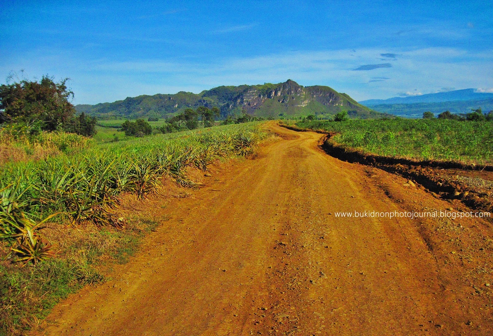 Bukidnon Photo Journal: FCI Road, Sumilao, Bukidnon