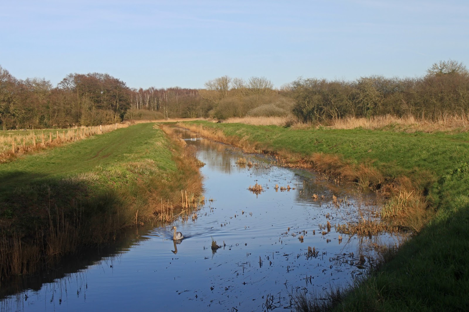 Captain Ahab's Watery Tales: North Walsham and Dilham Canal revisited