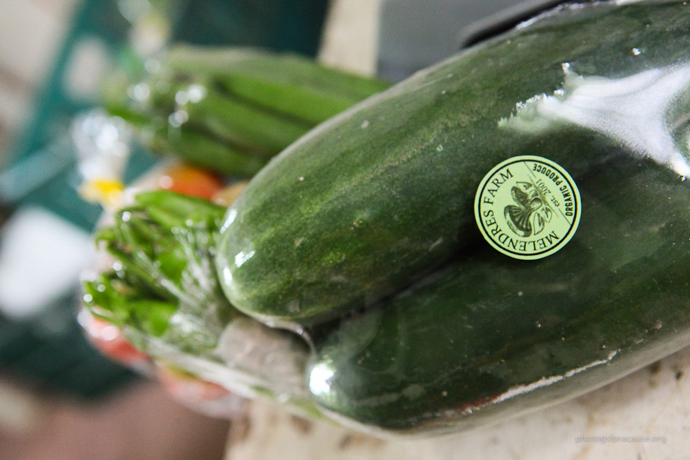 Melendres Farm || Antipolo, Rizal