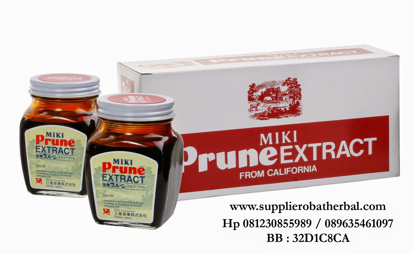MIKI PRUNE SIDOARJO