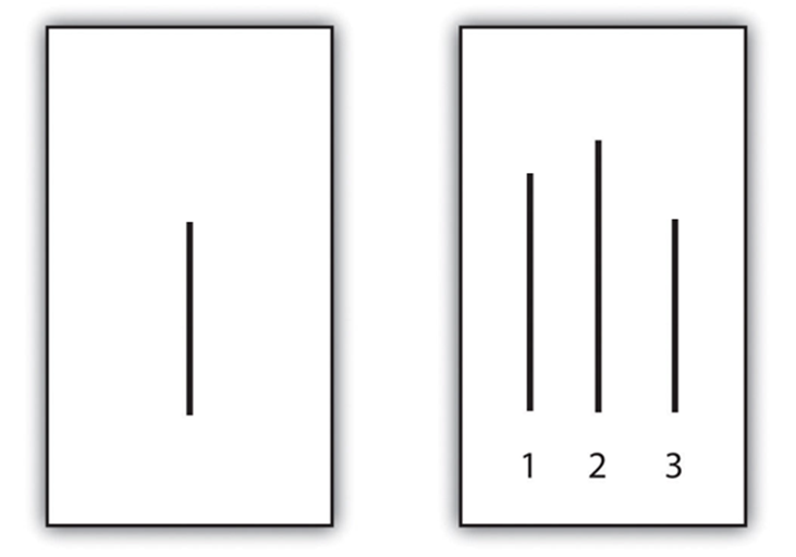 Asch Conformity Experiments
