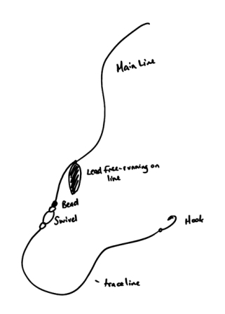 Fishy Business, an angler's journal.: Fishing the Warwickshire Avon: My ...