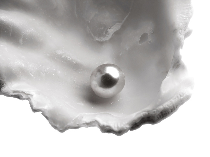 Revista de (re)integrare socială: Stridia