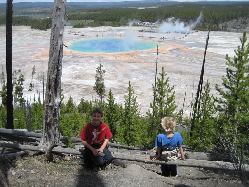 The Scallywagon: YOU SKIN GRIZ', PILGRIM? Yellowstone National Park