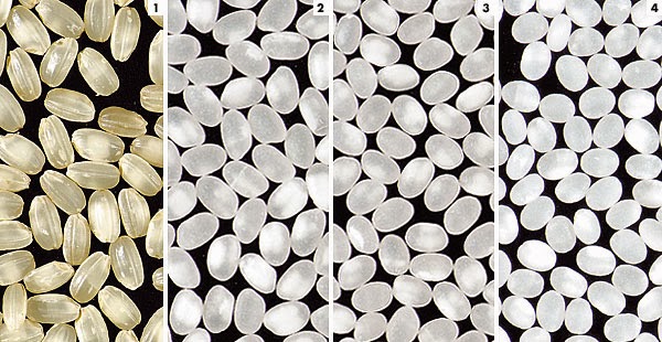 Gastronomista: Sake Primer - What You Need to Know to Look Like You ...