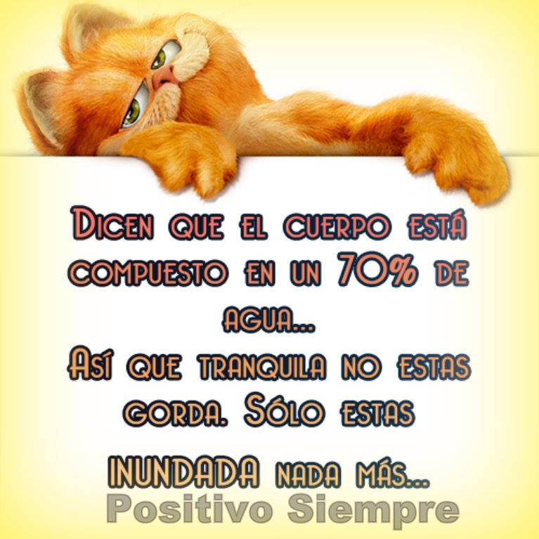 Buscando la felicidad o hundiéndome en el intento: Día 14. No estoy ...