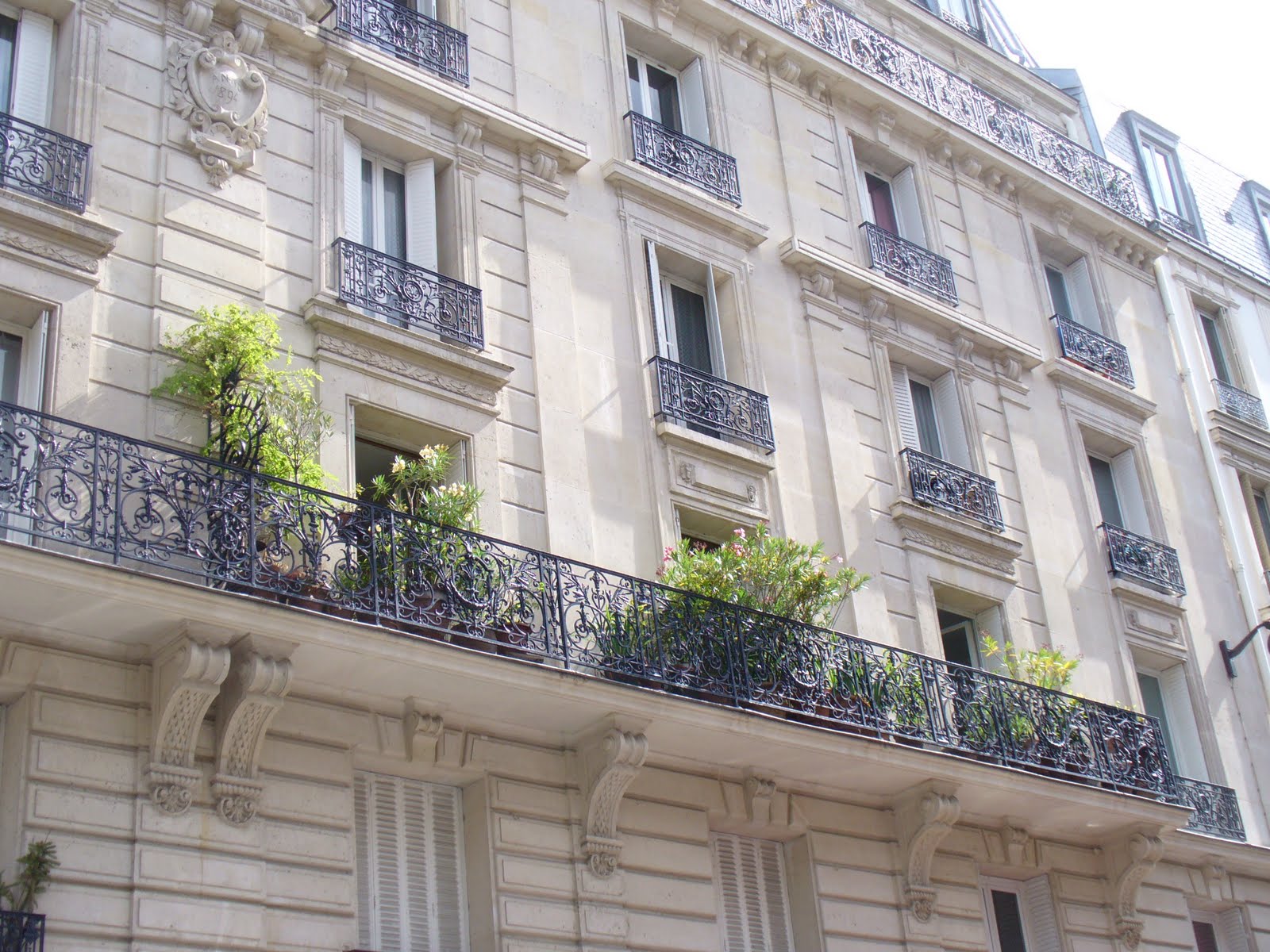 Les balcons de Paris: Le Printemps sur les balcons de Paris.