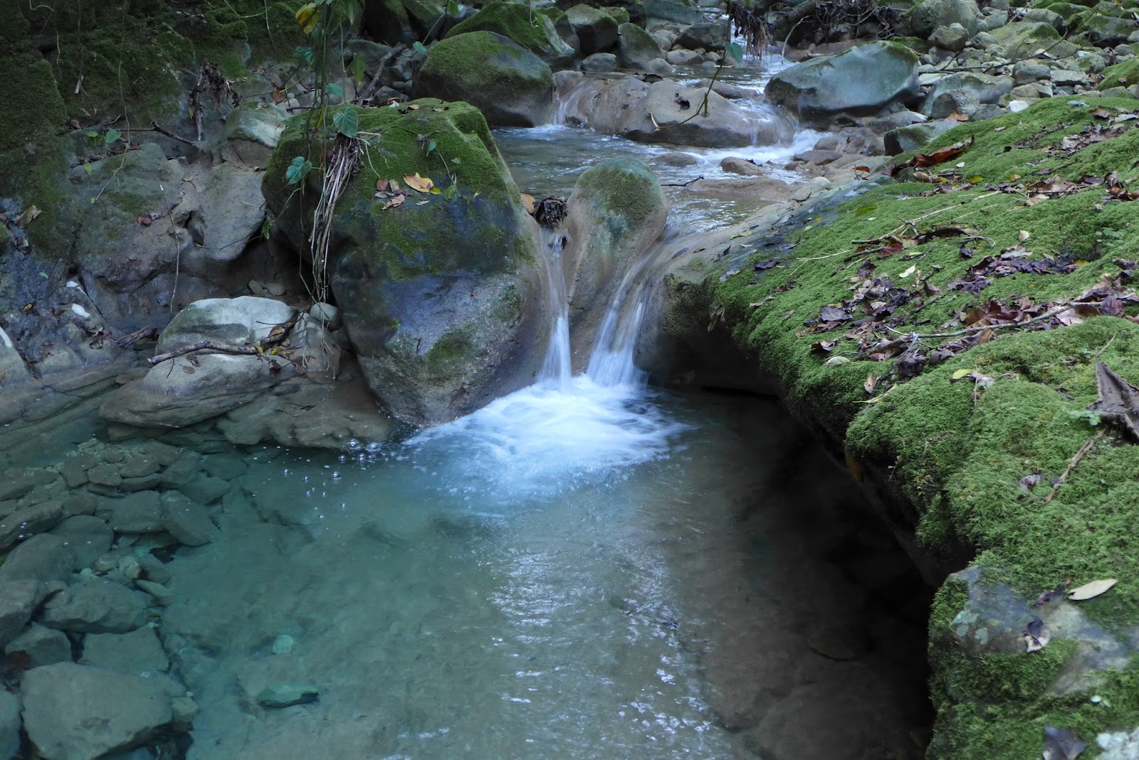 Jeffrey Bale's World of Gardens: Las Pozas (The Pools)