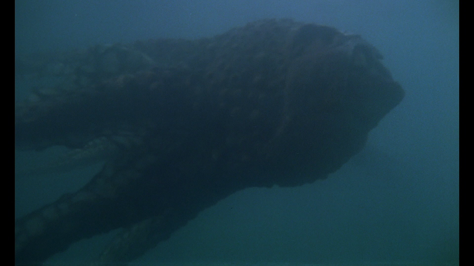 Cool Ass Cinema: Monster Shark (1984) review