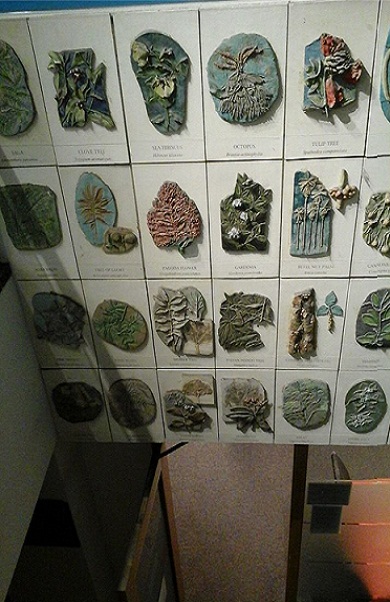 Walk Walk Look Look Eat Eat: Woodlands Regional Library @ Woodlands ...