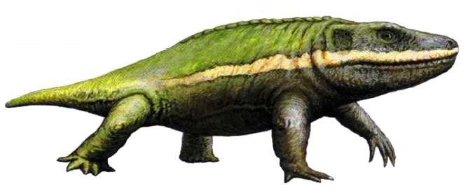 Blog de la Vida Prehistórica: Cacops