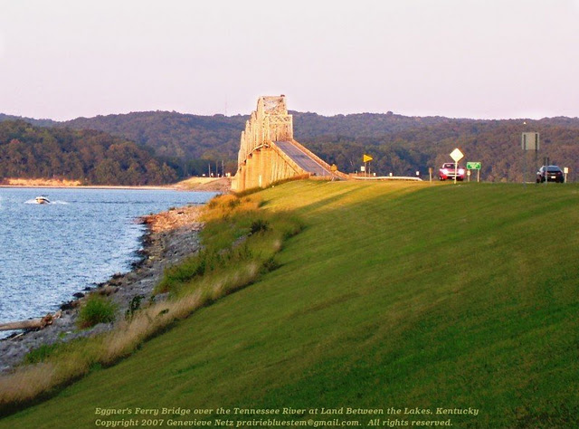 Prairie Bluestem: Old Bridges at Land Between the Lakes, KY