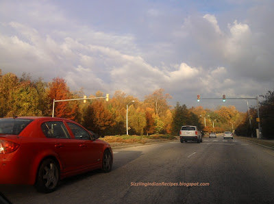 Sizzling Indian Recipes.....: An Autumn Day drive from Raleigh to Cary ...