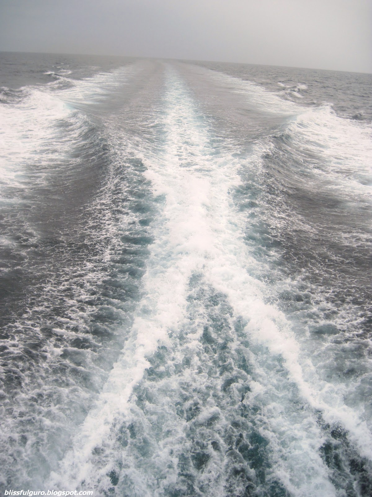 CEBU: Oceanjet Ferry Experience - blissfulguro