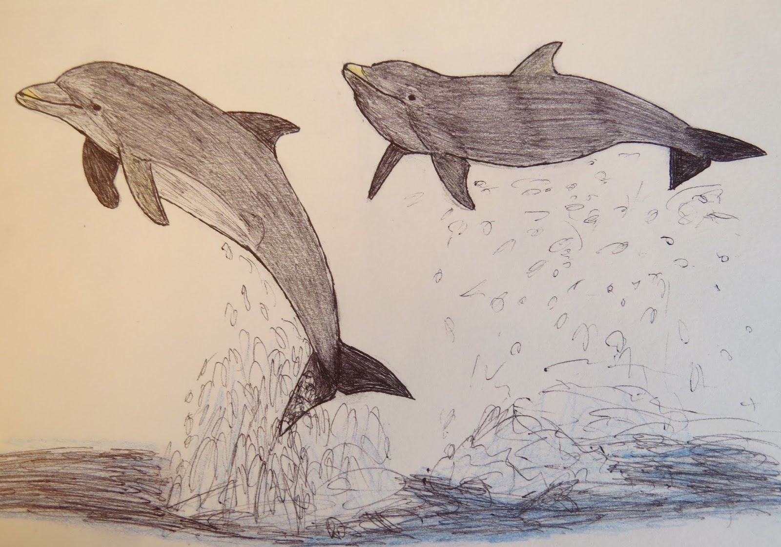 The Autistic Naturalist: How To Draw: Dolphins