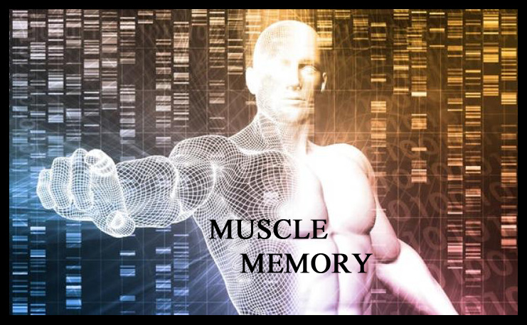 TIMELESS TENNIS: Tennis Topic & Book - "Muscle Memory and Mental ...